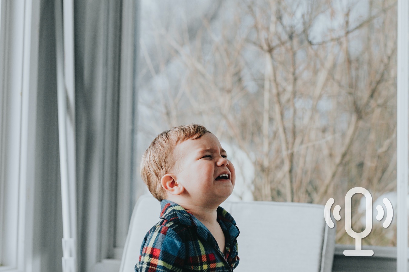 Surviving Toddlers and Twos - Empowered Homes